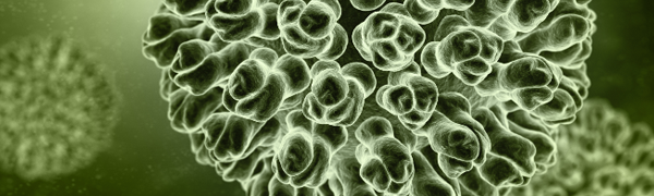 Rotavirus