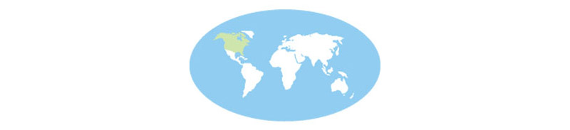 North America