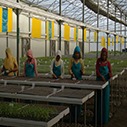 Mashav, la Agencia Israelí de Cooperación Internacional para el Desarrollo
