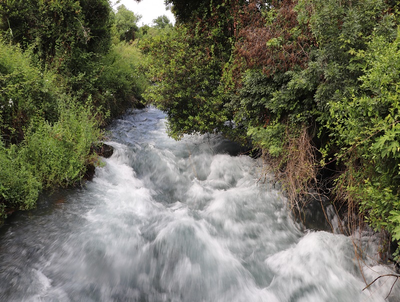 Dan nature reserve