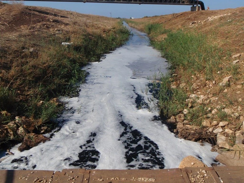 נחל מזוהם בעקר