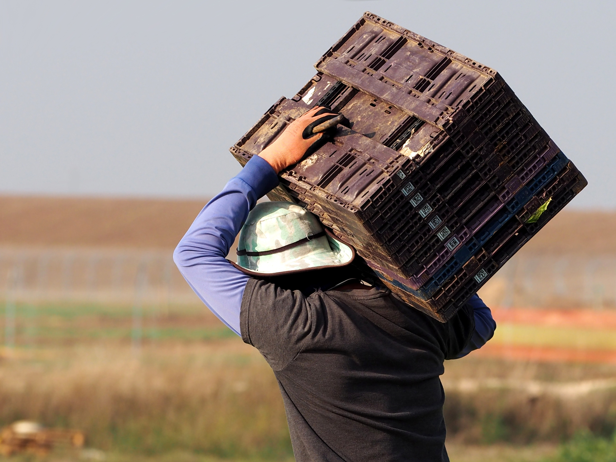 Israeli Farmers and Workers