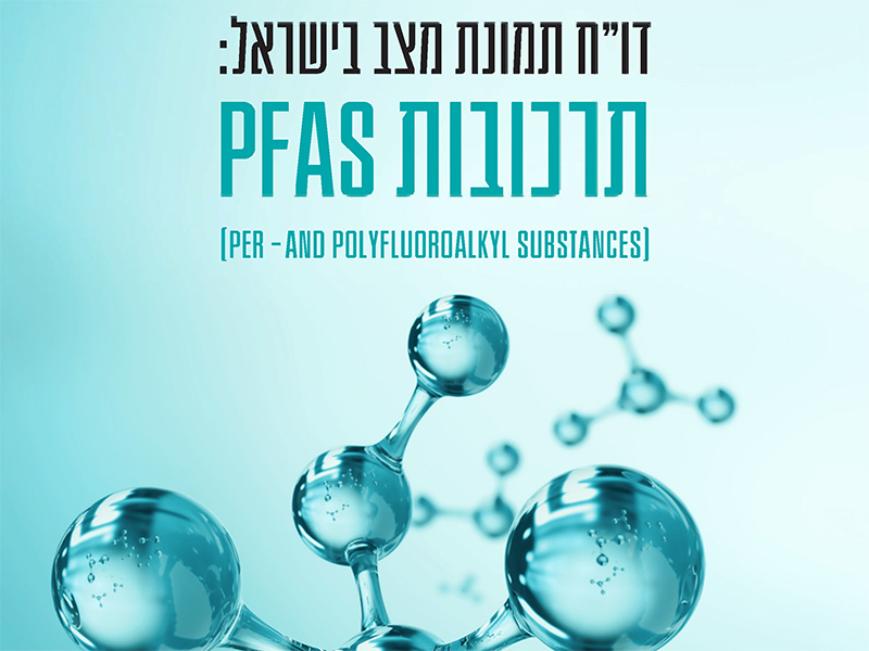 דוח תמונת מצב. כריכה