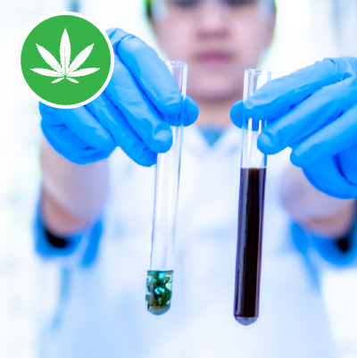 Licensed cannabis workers